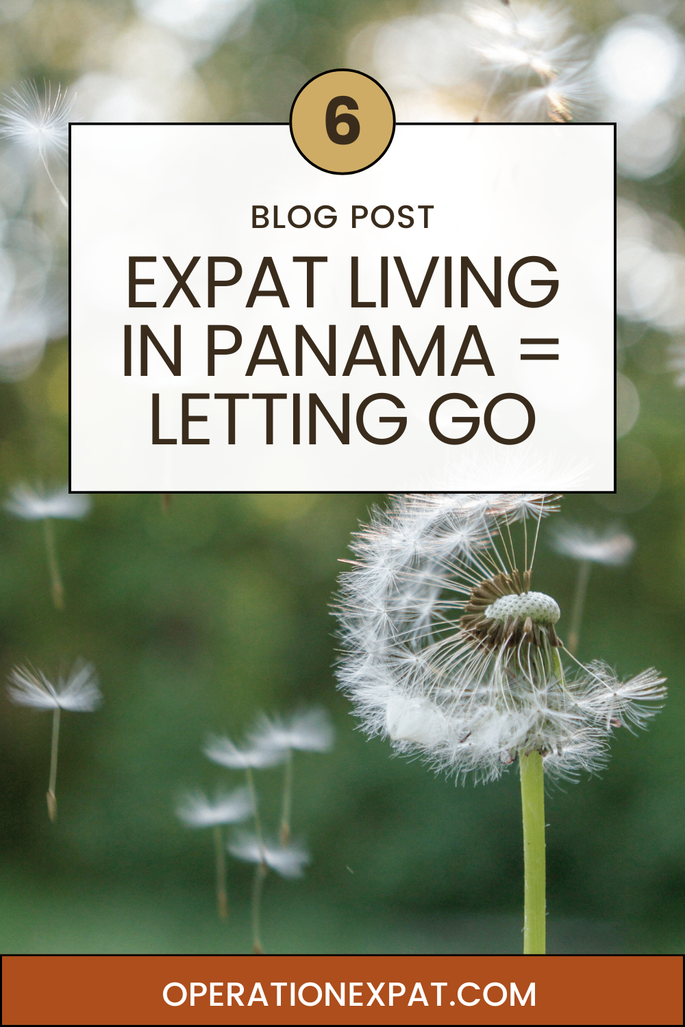 panamaexpatinfo